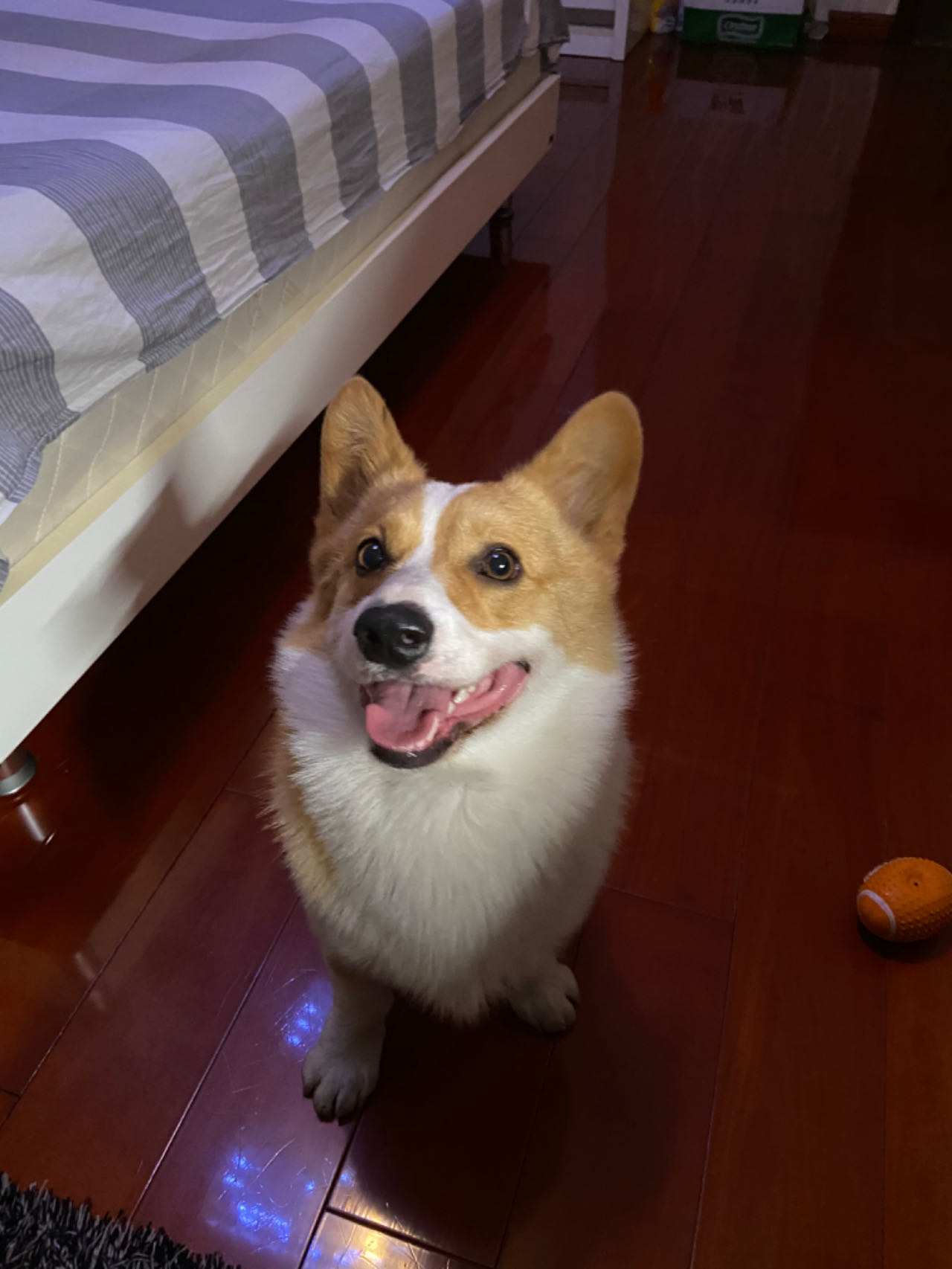 Jing Zeng - Gallery of life